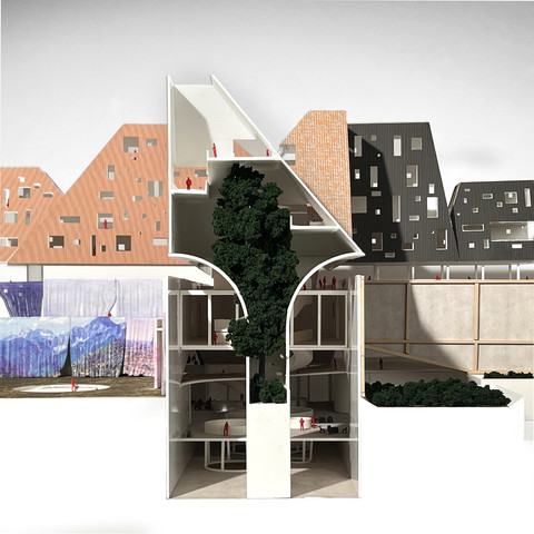 UCLA Architecture and Urban Design | Morgane Copp