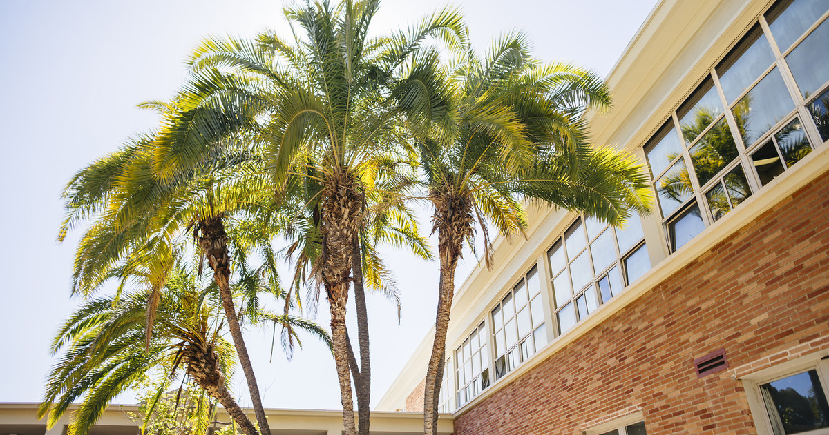 UCLA Architecture and Urban Design | UCLA AUD Fall 2025 Events: Tatiana ...