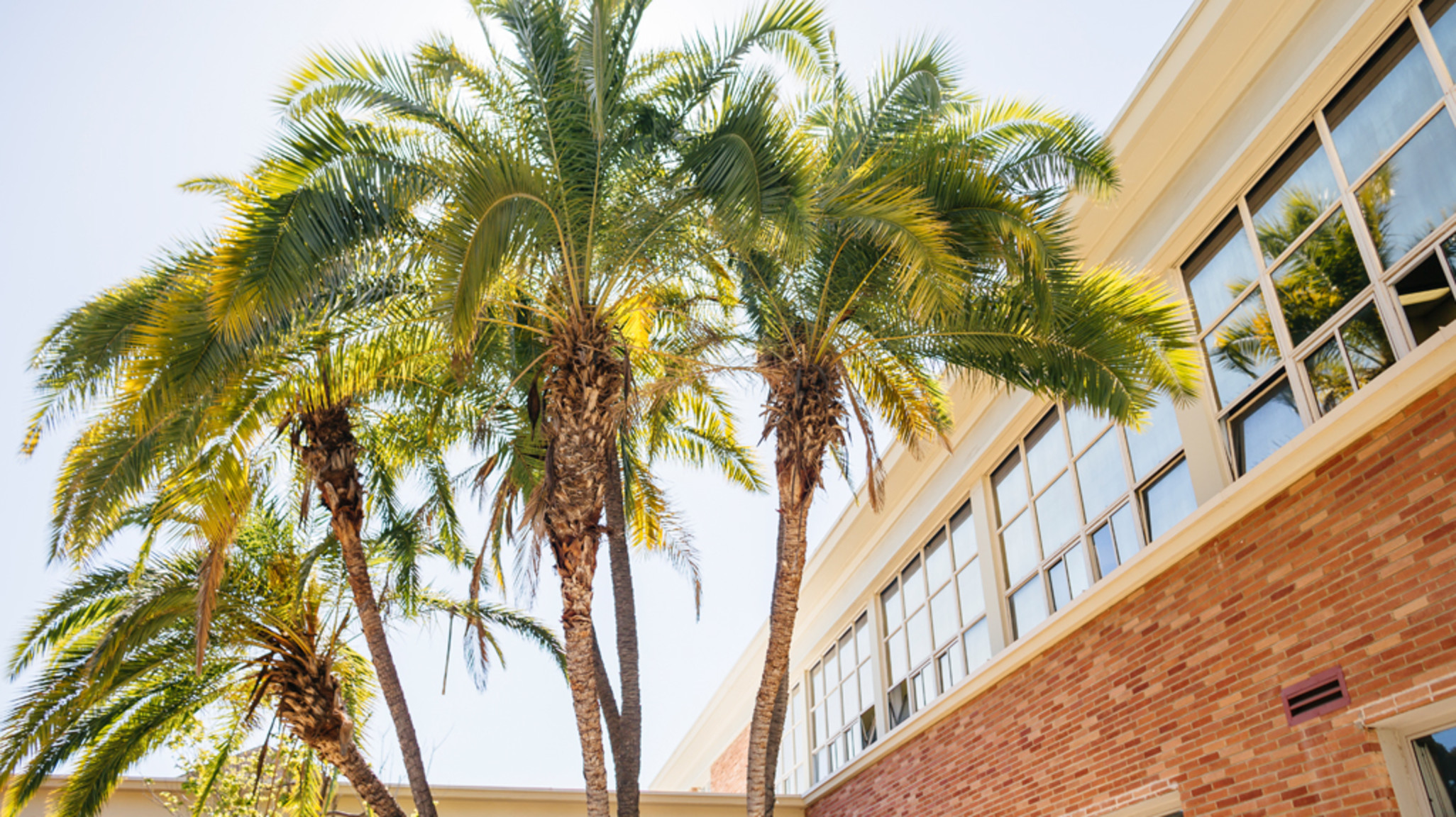 Ucla Architecture And Urban Design Ucla School Of Arts And