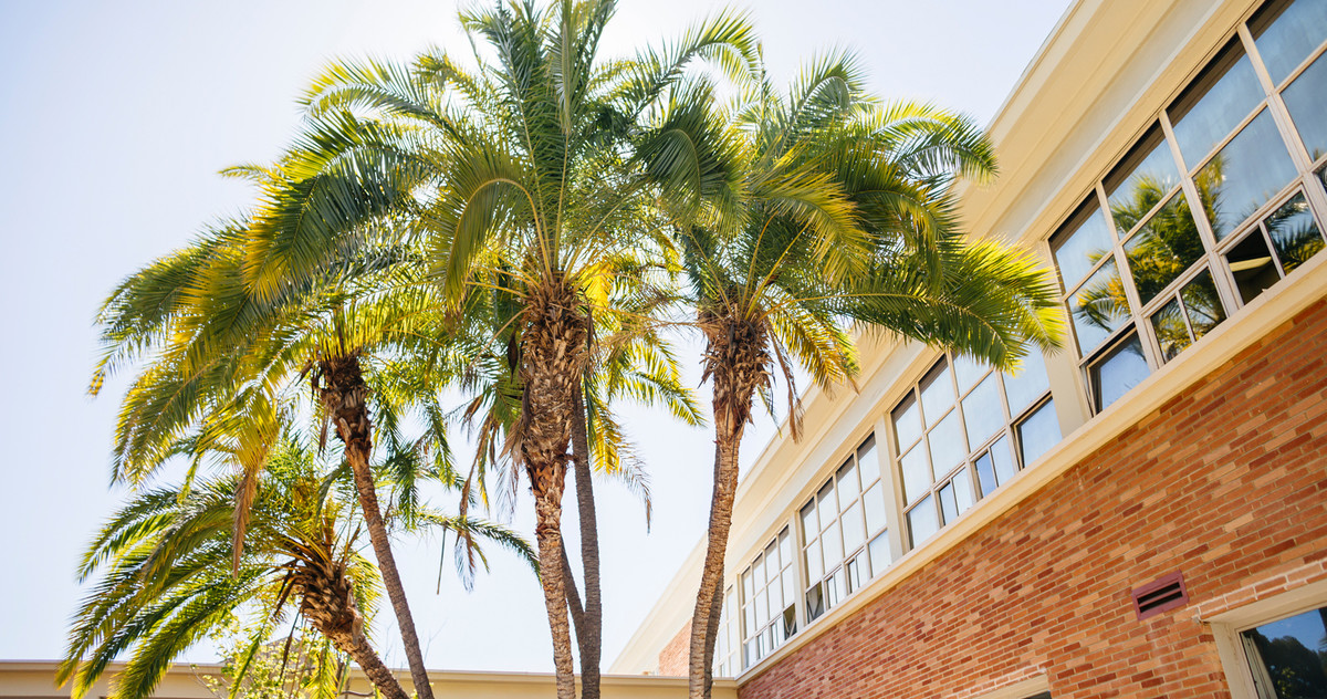 UCLA Architecture and Urban Design | Welcome to our Winter 2021 ...