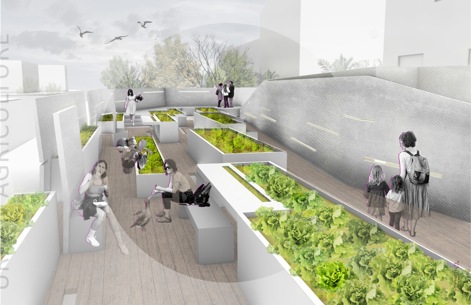UCLA Architecture and Urban Design | The NOW Institute: Urban Agriculture UCLA Architecture and Urban Design | The NOW Institute: Urban Agriculture