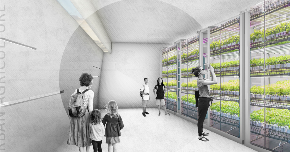 UCLA Architecture and Urban Design | The NOW Institute: Urban Agriculture